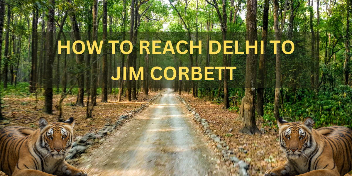 How to Reach Delhi to Jim Corbett National Park: A Comprehensive Guide